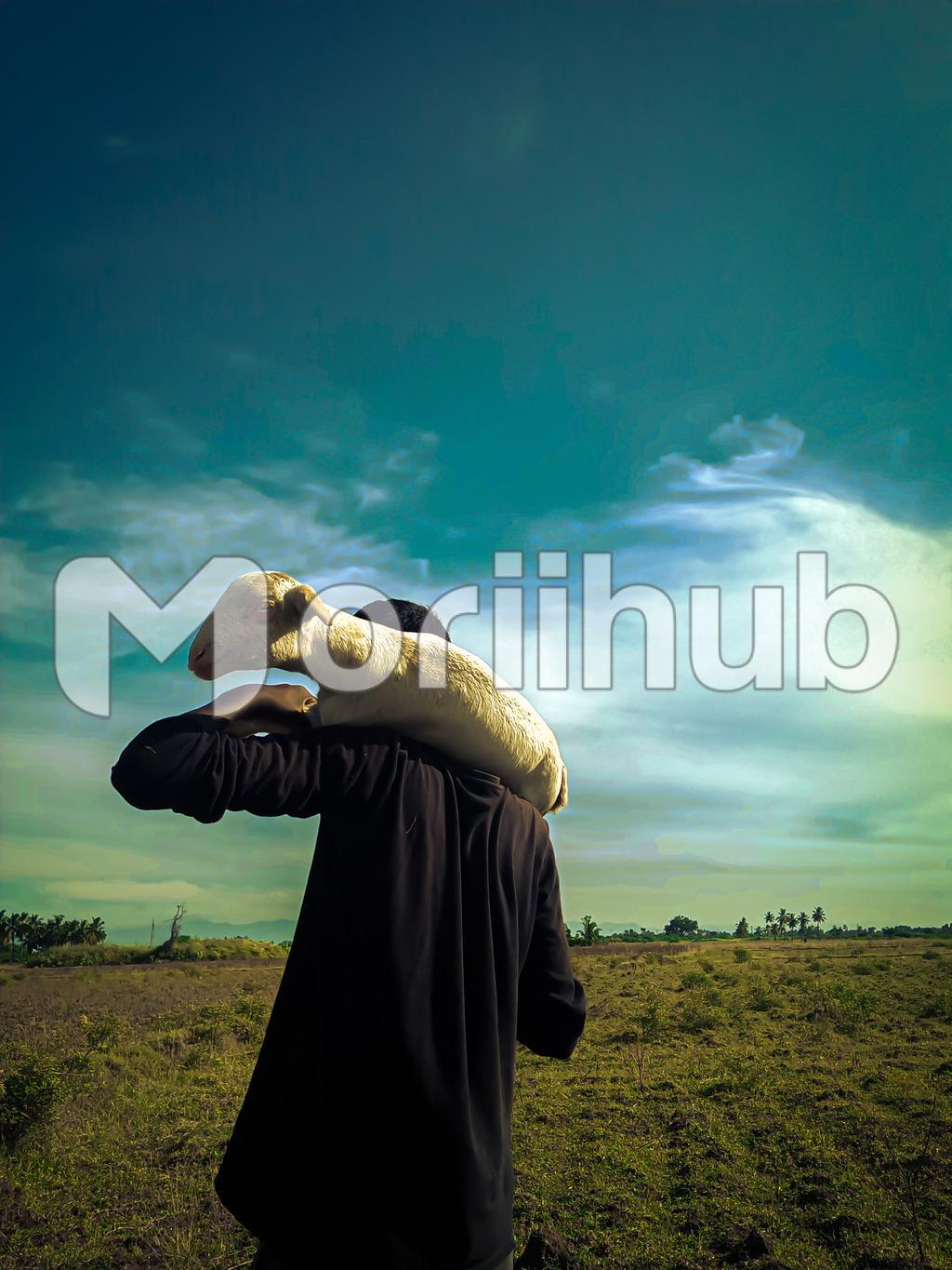 Strength In Simplicity – MoriiHub