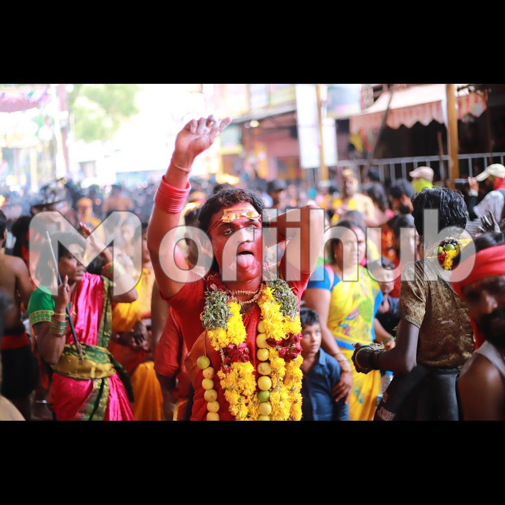 Vibrant Celebrations – MoriiHub