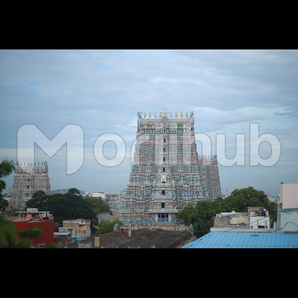 Temple’s Reverence – MoriiHub