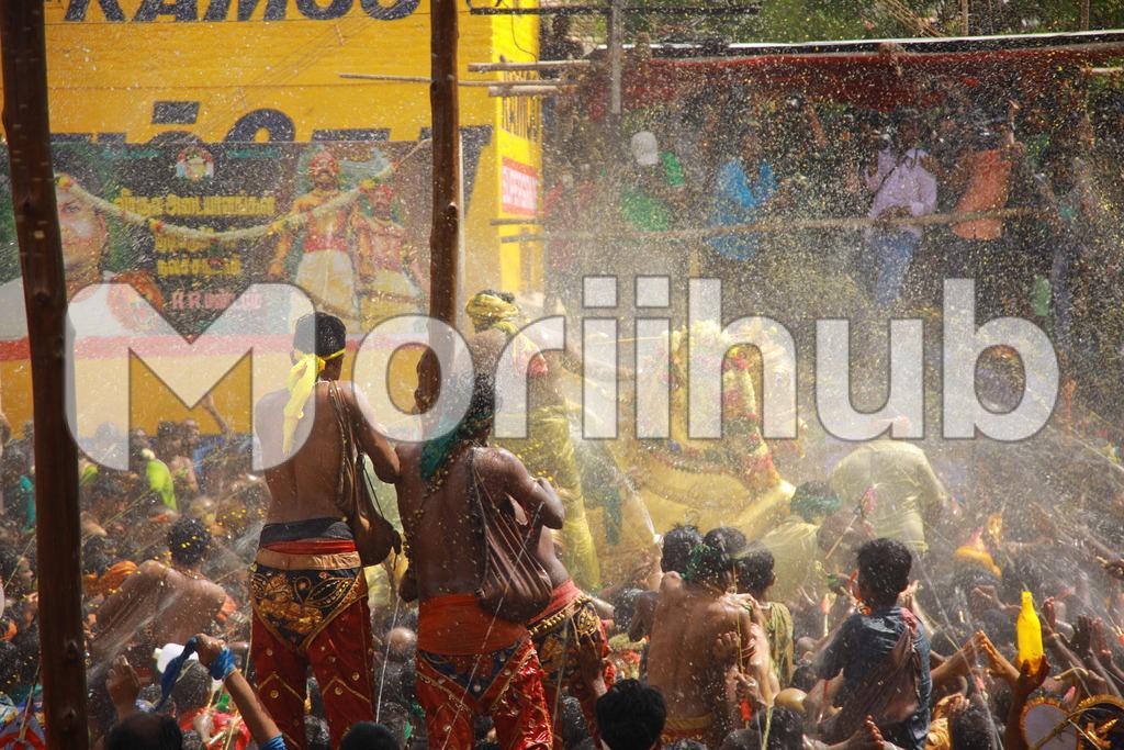 Tradition And Revelry – MoriiHub